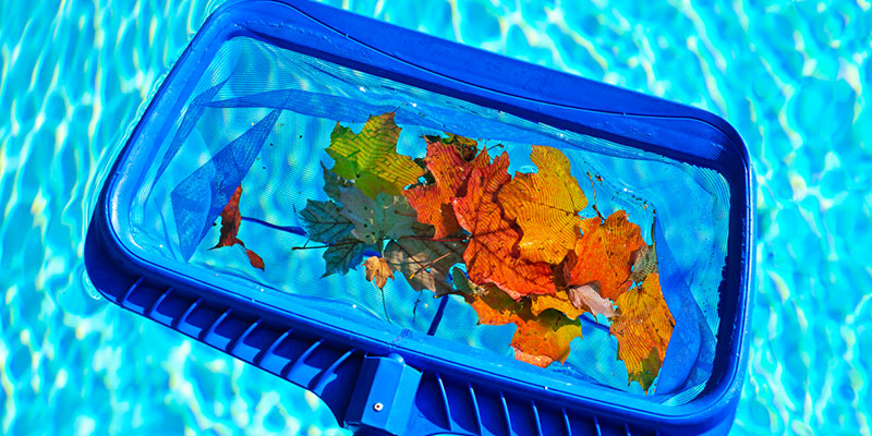 Swimming Pools: A Seasonal Maintenance Guide [infographic] | Celestial ...